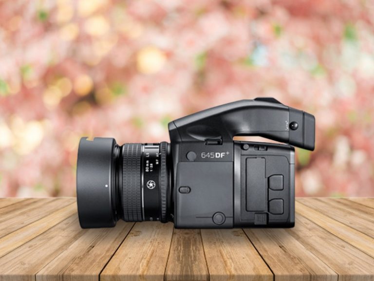 Which camera (lens) for outstanding flower photography? - Masterpim.com